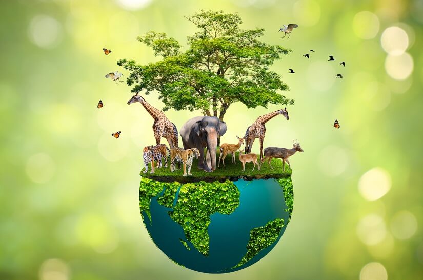 Exploring Nature- 15 Ways to teach Biodiversity to Kids Exploring Nature- 15 Ways to teach Biodiversity to Kids