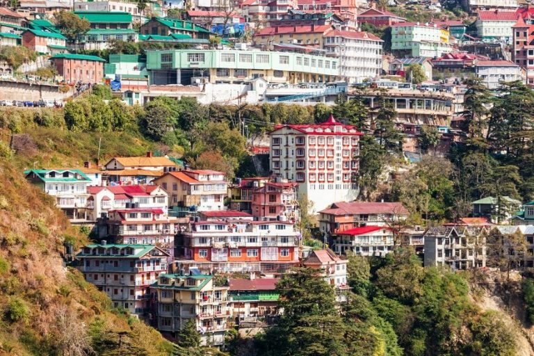 Explore Shimla with Kids: 18 Must-Try Activities