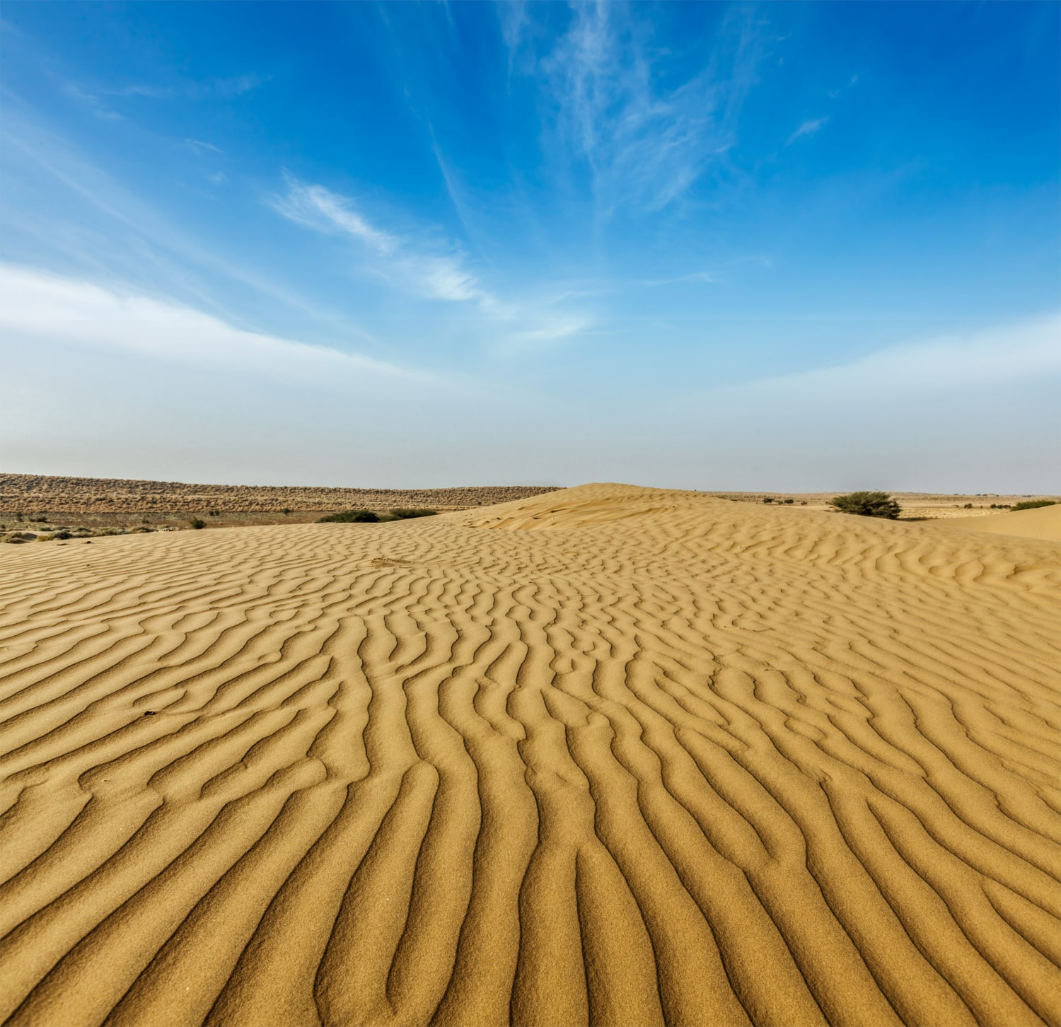 Top 5 Deserts In India - From Thar to Spiti | EuroKids
