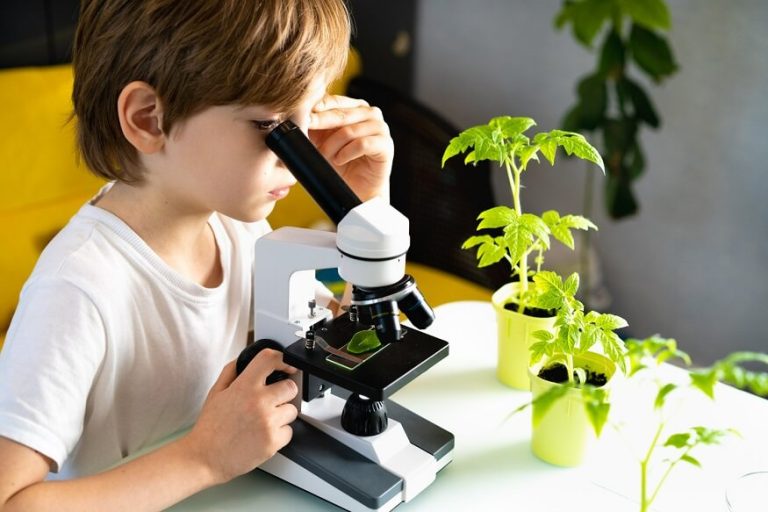 Environmental Science For Kids