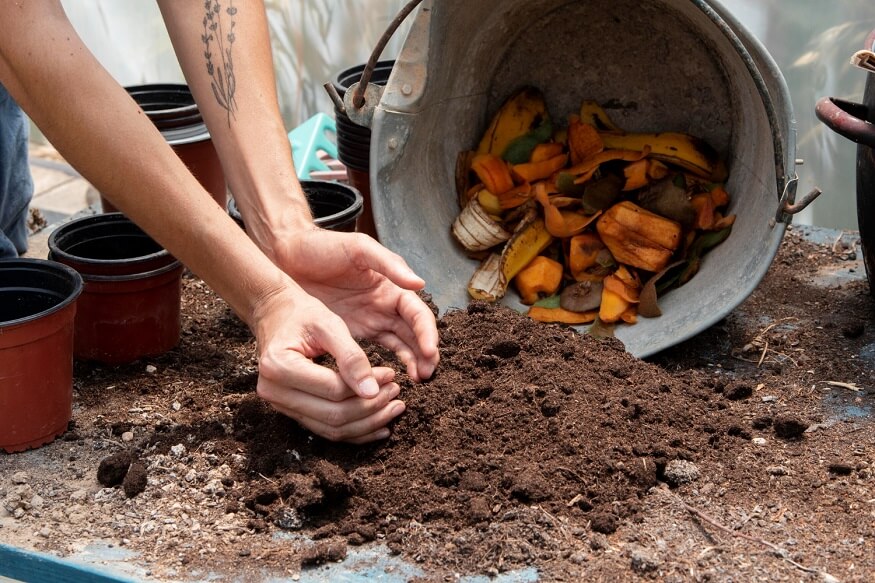The Magic of Composting: A Child's Eco Adventure Exploring Sustainability
