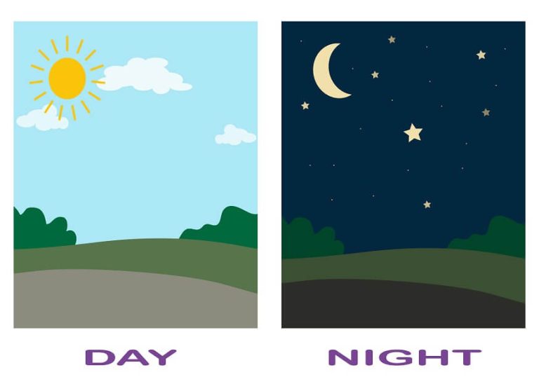 Discover Day and Night: Engaging Activities and Fun Facts for Kids
