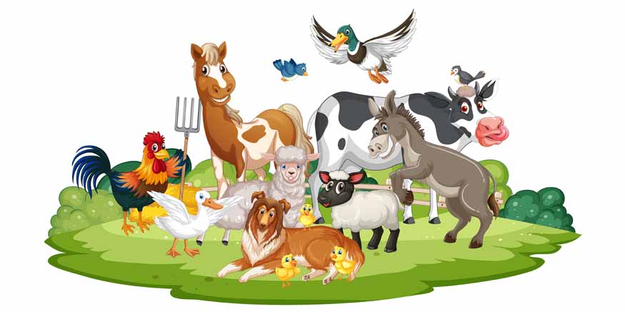 Domestic Animal Names in English for Kids with Uses & Examples