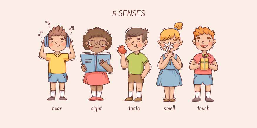 Five Sense Organs for Kids with Easy Guide