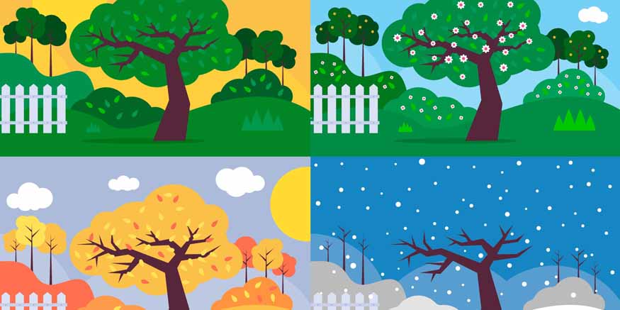 Seasons Definition for Kids | Types of Seasons Explained Simply