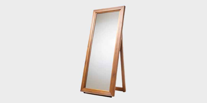 Mirror Reflections for Kids: Concepts, Facts & Applications in EVS